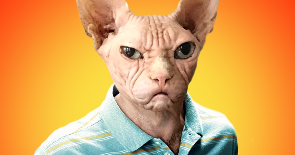 My 66 Movie Poster Parodies Starring Sphynx Cats | Bored Panda