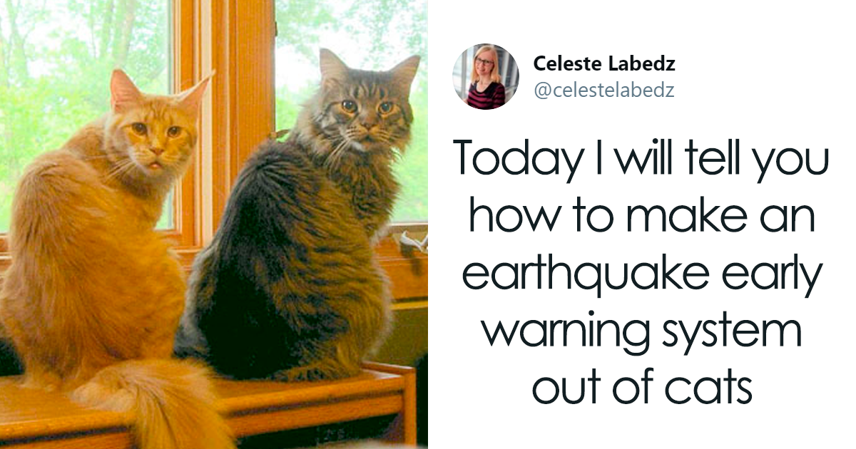 Seismologist Explains How To Make An Earthquake Early Warning System ...