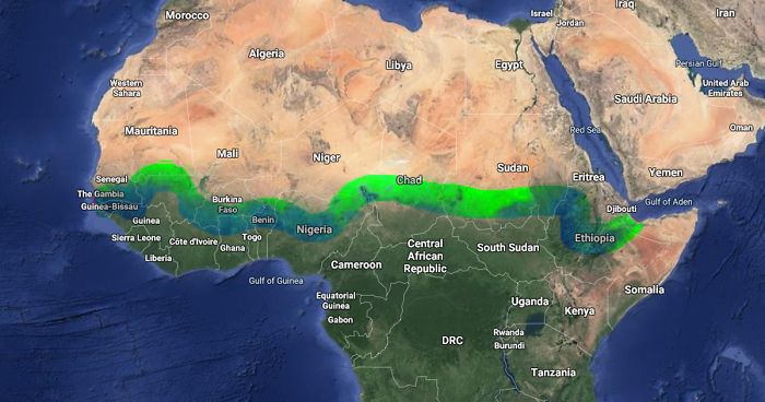 Over 20 Countries Have Started Building An 8,000KM “Great Green Wall ...