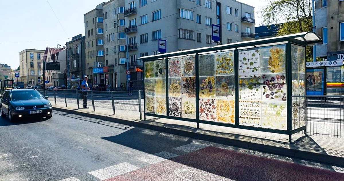 Polish Artist Turns A Local Tram Stop Into A Floral Museum | Bored Panda
