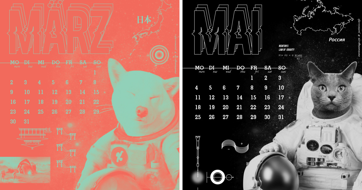 We Made This Fun 2020 Calendar With Our Pets As Astronauts | Bored Panda