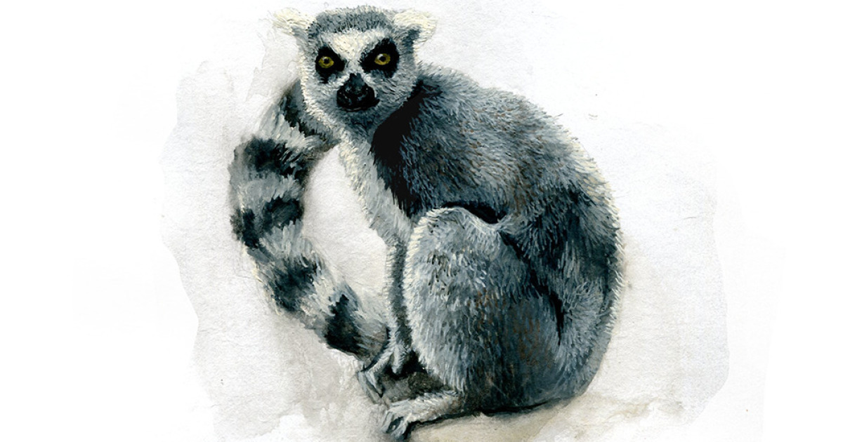 One Of My Realistic Painted Animals For Brno Zoo In The Czech Republic ...