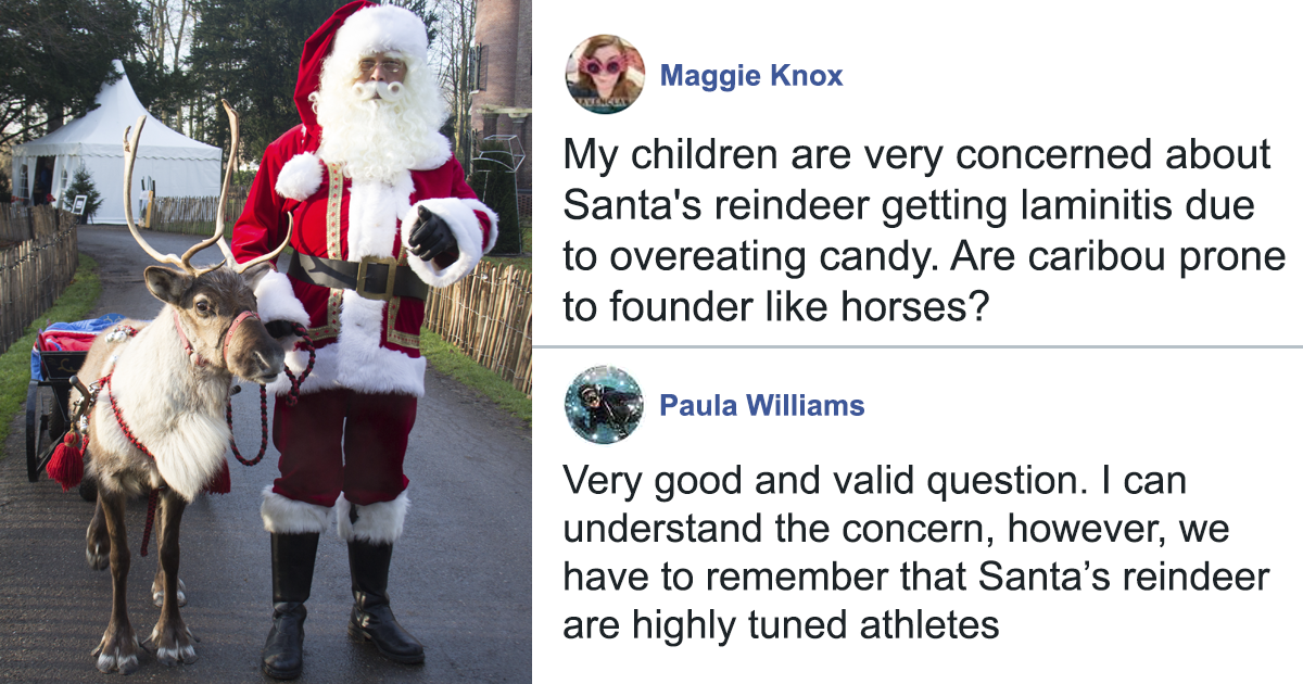 Kids Ask A Question About Santa’s Reindeer, Vets From All Around The ...