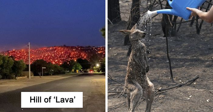 50 Pics That Sum Up The Hell On Earth That Is Taking Place In Australia ...