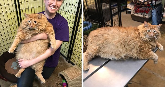 Bored Panda - The Only Magazine For Pandas