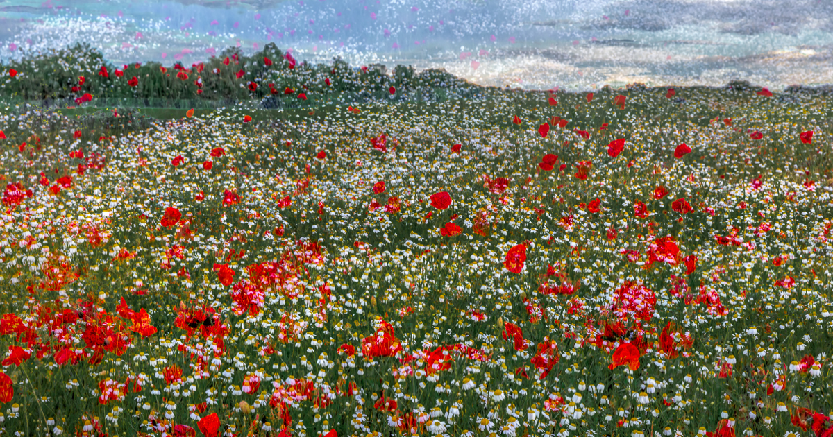 I Capture Layers Of Time In Nature | Bored Panda