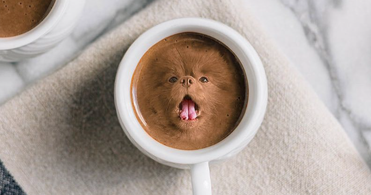 Instagram Account Photoshops Dogs Into Food And It’s Hilariously Weird ...