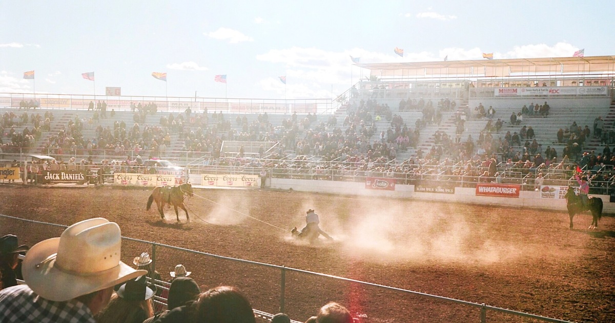 My Experience In Fiesta De Los Vaqueros, Tucson, Arizona | Bored Panda