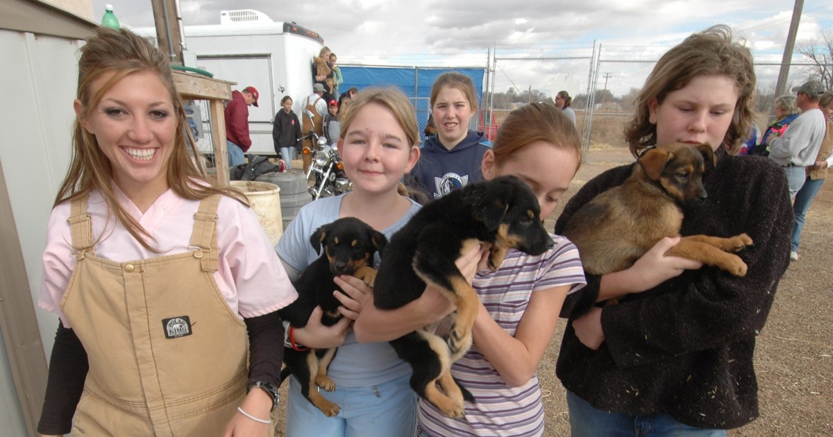 This Rescue Shelter Started By 4th Graders Has Saved 15,000 Dogs ...