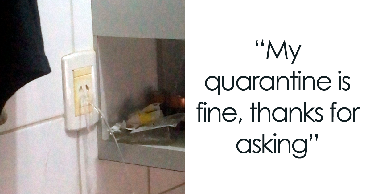 40 Photos Of People Having A Worse Day Than You (Coronavirus Edition ...