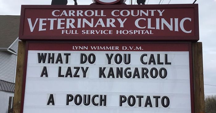 This Vet Clinic Posts The Punniest Signs For Dad Joke Lovers (52 Pics)