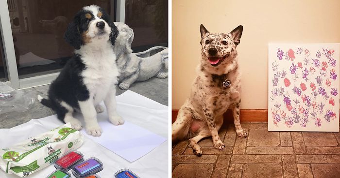 Bored Panda - The Only Magazine For Pandas