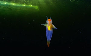 16 Oldest Surviving Examples Of Everyday Things