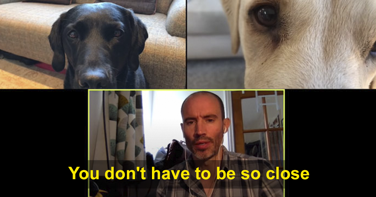 BBC Sports Broadcaster Stuck With Nothing To Report Decides To Hold A ...