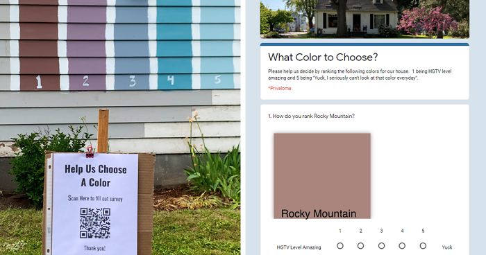 Family Asks Neighbors To Pick Their Next House Color By Creating A ...