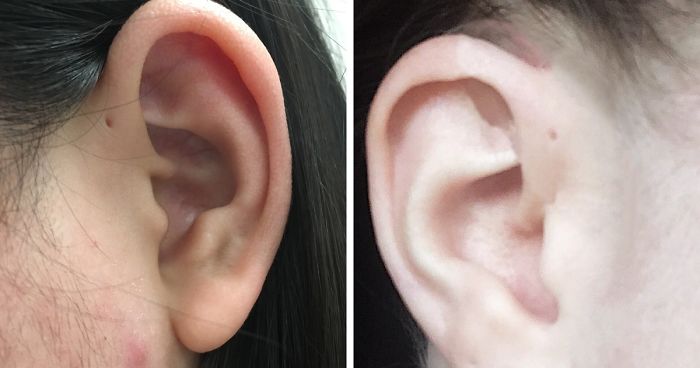 Bored Panda - The Only Magazine For Pandas