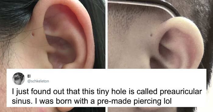 Bored Panda - The Only Magazine For Pandas