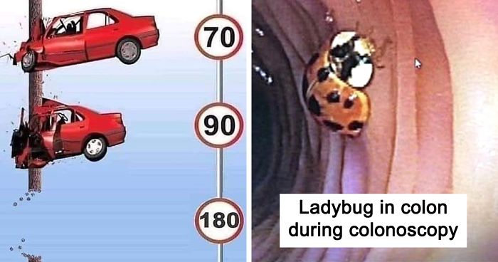 40 Of The Most Ridiculous ‘Scientific’ Diagrams You’ll See That Beg The ...