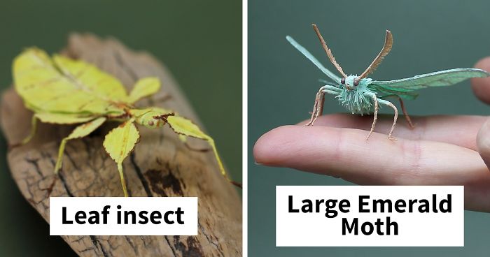 I Use My Unique Technique To Create Realistic Animals And Plants From ...