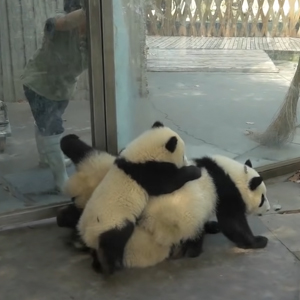 30 Terrible Pictures Taken By Real Estate Agents | Bored Panda