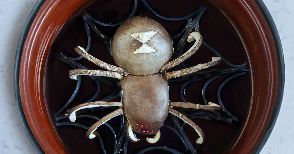 My 10 Spooky Halloween-Inspired Food Bowls | Bored Panda