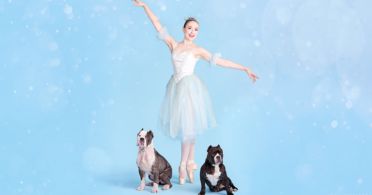 The Muttcracker: Ballet Dancers Dance With Dogs And Cats Who Are ...
