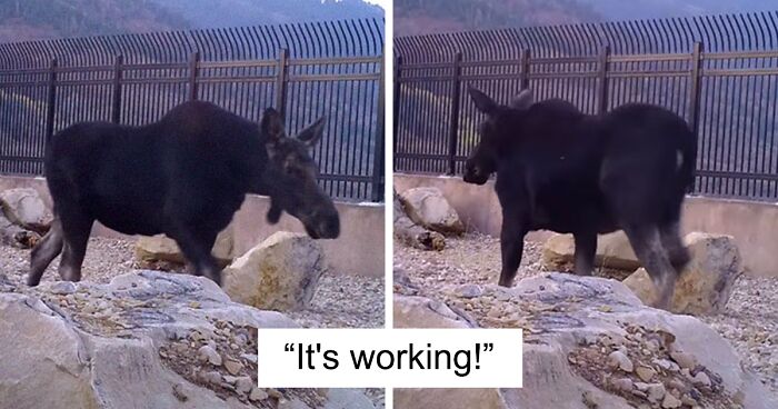 The Highway Overpass In Utah Is A Major Success And The Video Shows ...