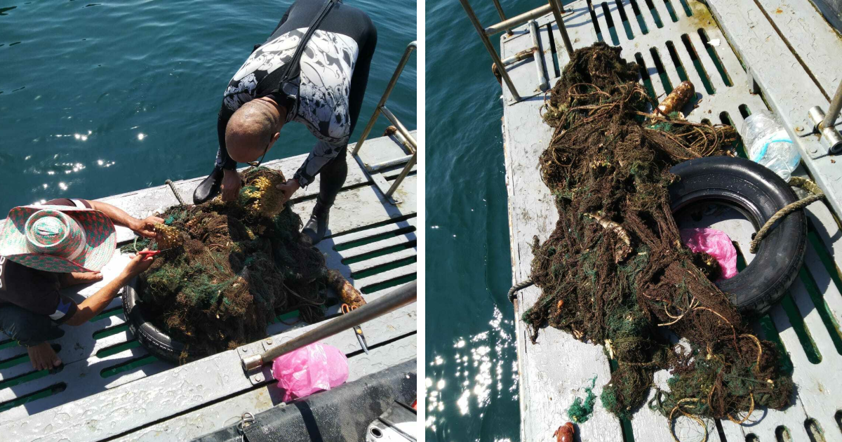 We Removed A Massive Abandoned Fishing Net From A Reef At Our Local ...