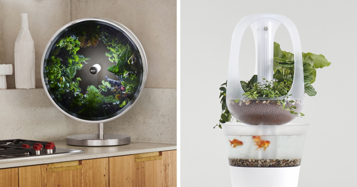 Here Are 12 Award-Winning Eco-Friendly Products To Keep Your Home ...