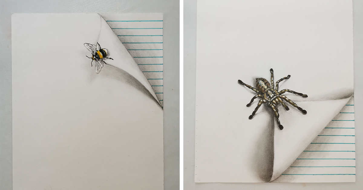 I Draw These Illusions With Cute Little Insects (6 Pics) | Bored Panda