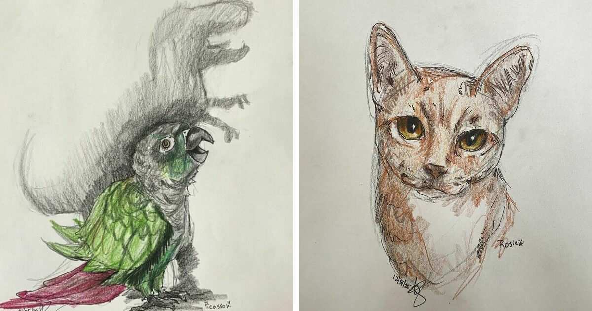 I Draw Pet Portraits On Request And Then Donate The Received Funds To ...