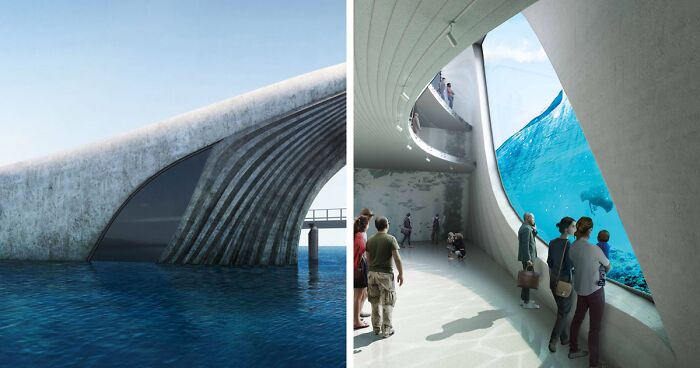 Whale-Shaped Marine Observatory Will Let Visitors Take A Look Under the ...