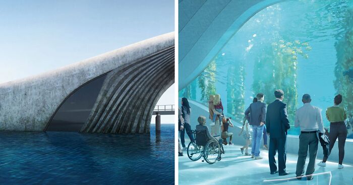 Whale-Shaped Marine Observatory Will Let Visitors Take A Look Under the ...