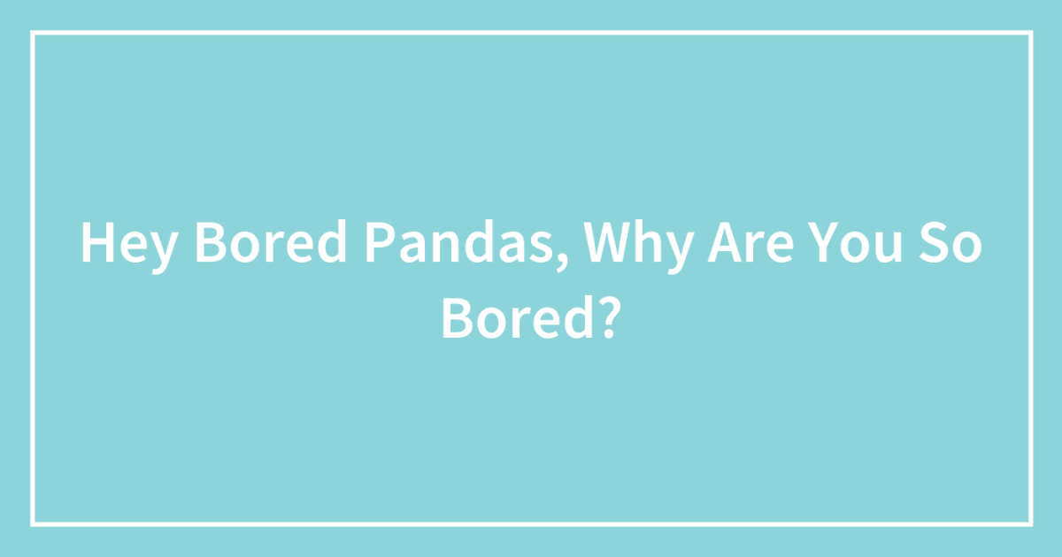 Hey Bored Pandas, Why Are You So Bored? (Closed) | Bored Panda