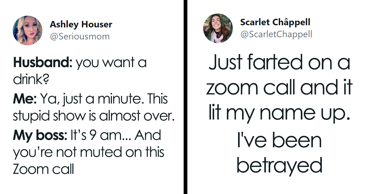 50 Funny Tweets From People Who Are So Done With Zoom Calls | Bored Panda