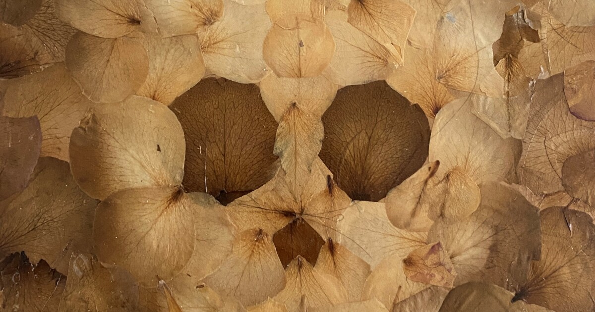 I Use Flower Petals Instead Of Paint To Create Artworks Inspired By The ...