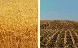 20 Memes que resumen 2020 hasta el momento | Bored Panda