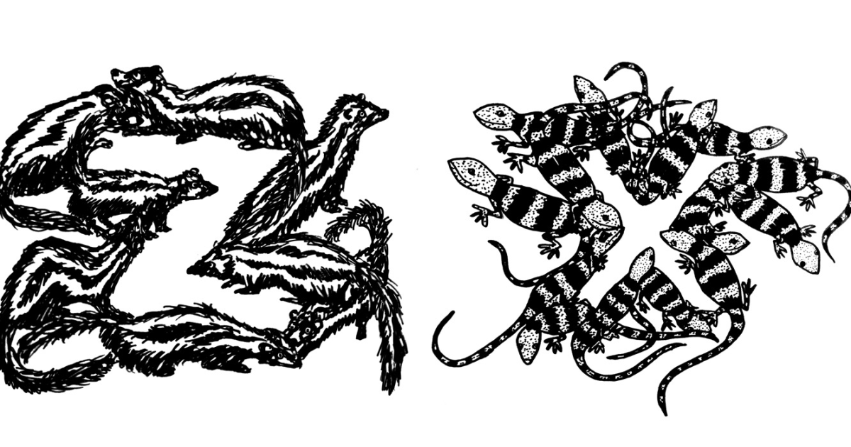 Obscure Animals Alphabet