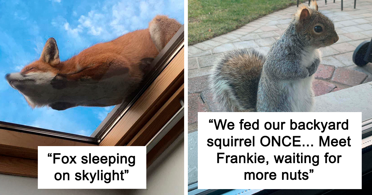 50 Times People Spotted The Cutest Animals And Just Had To Take A Pic ...