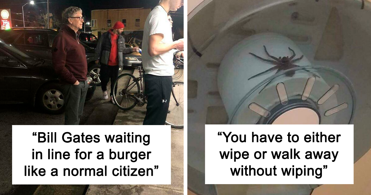 “This Is My Life Now”: 50 Funny Pics Of People And Animals Accepting ...
