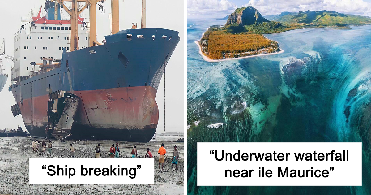 People Are Sharing Their Megalophobia Moments, And Here Are 50 Pics ...