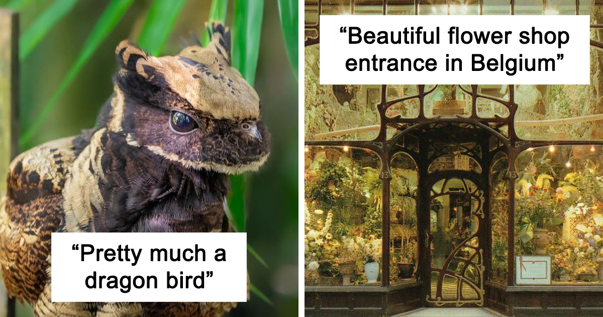 “Things That Seem Straight Out Of A Fairytale”: 40 Of The Most ...