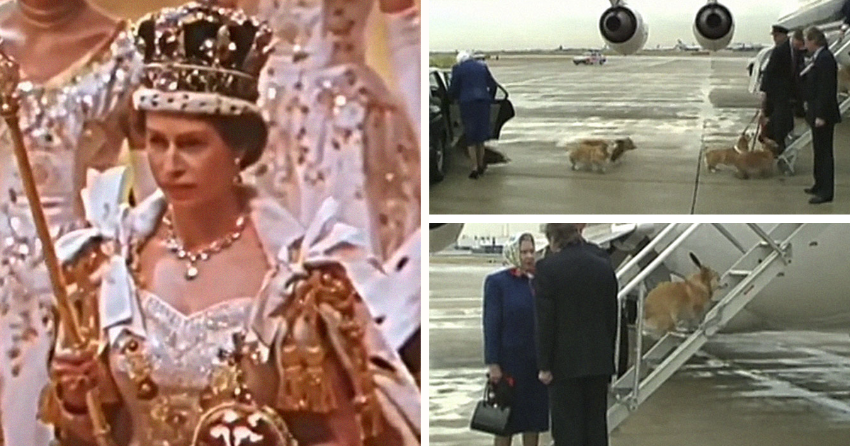People Are Sharing Emotional Tributes To Queen Elizabeth II On TikTok ...