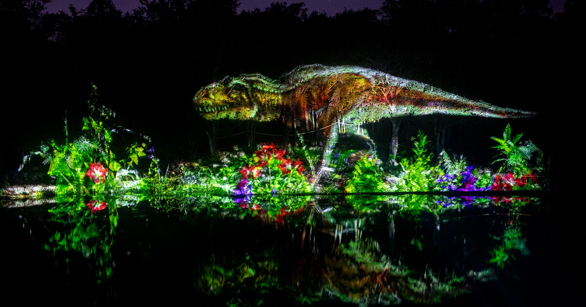 Maizz Visual Estudio Designs And Produces Pasos De Luz: An Audiovisual ...