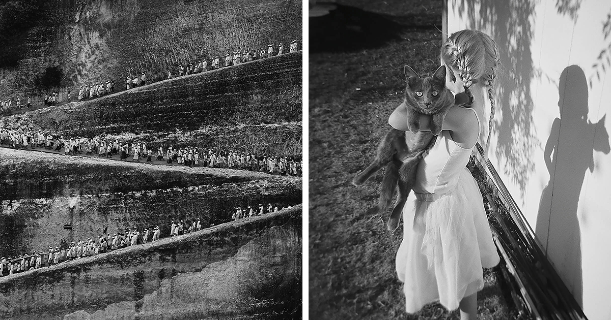 25 Of The Most Beautiful Black And White Images Taken By Photographers ...