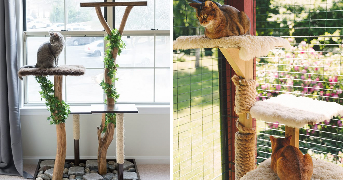 Build an Amazing DIY Cat Tree Tower: 7 Free Plans and Ideas | Bored Panda