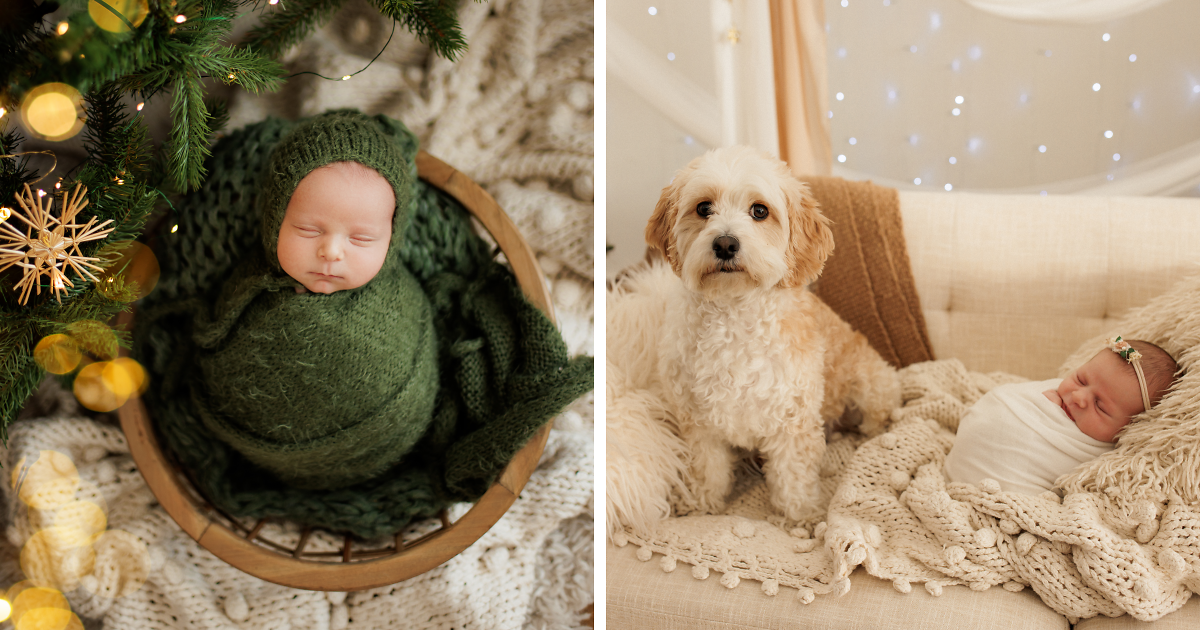 I Have Photographed A Lot Of Adorable Babies This Winter (10 Pics ...