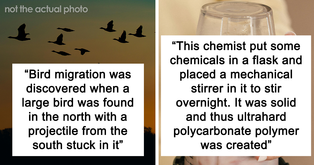 “Student Licked His Finger”: 27 Things That Were Discovered By Accident ...