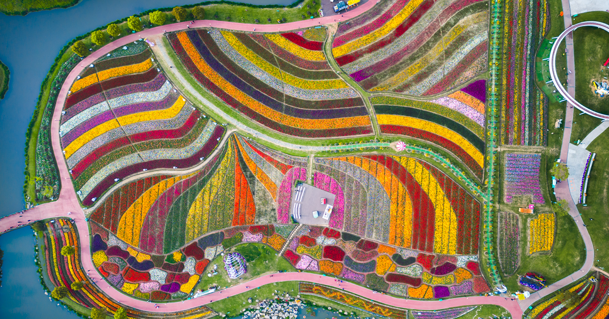 My 34 Photographs Of The Holland Flower Park In China | Bored Panda