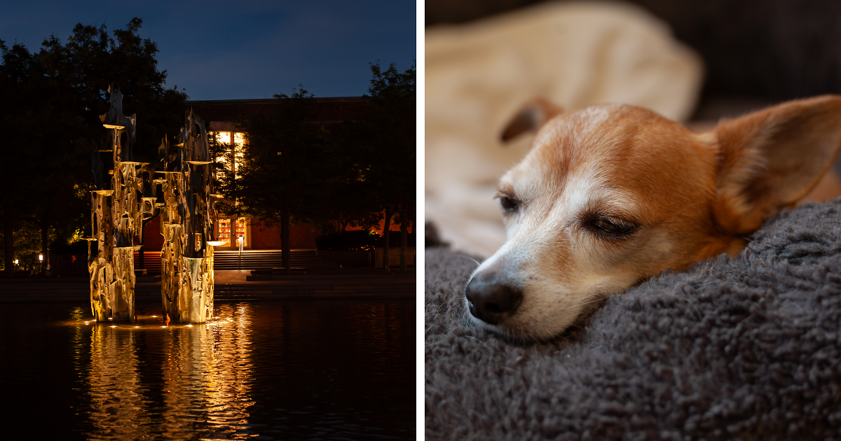 My First Shoot With The Canon 5d Mark II (9 Pics) | Bored Panda